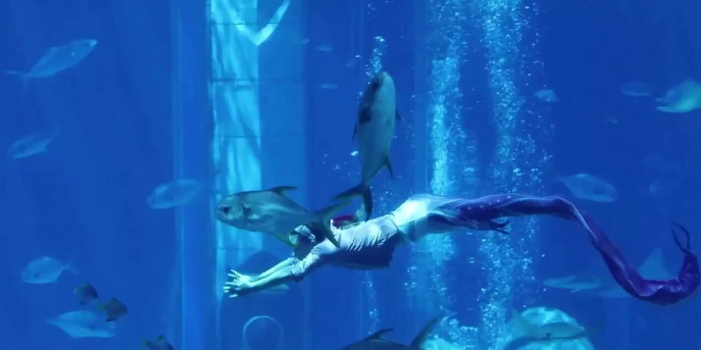 Fish tails! See mermaid competitors take to the water | Fox News Video