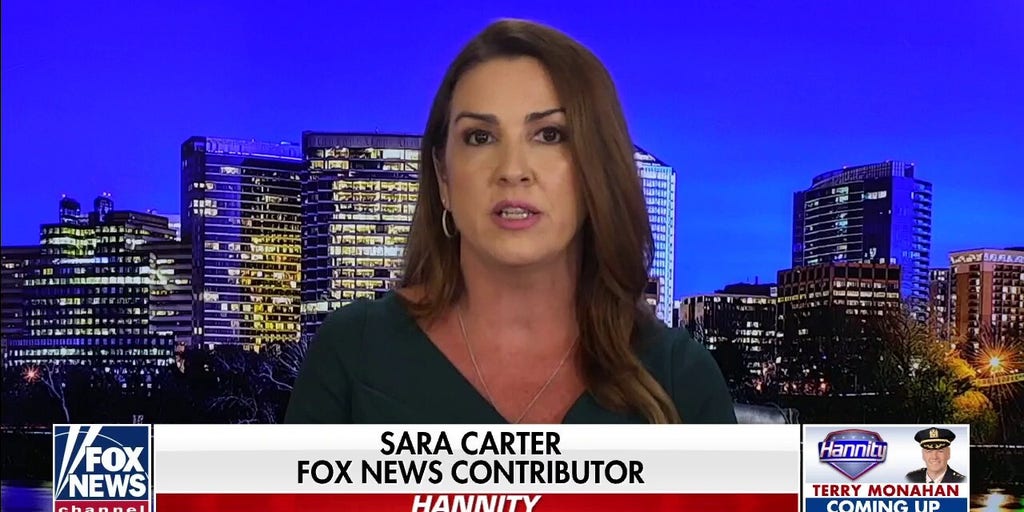 Sara Carter interviews Guatemalan congressman | Fox News Video