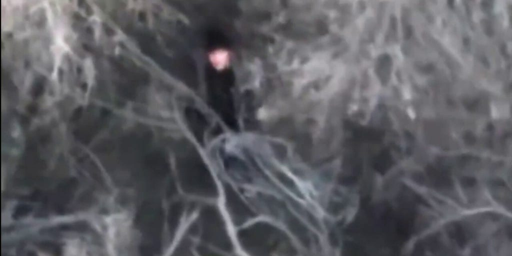 Mexican cartels fire at Border Patrol agents near Fronton, Texas | Fox ...