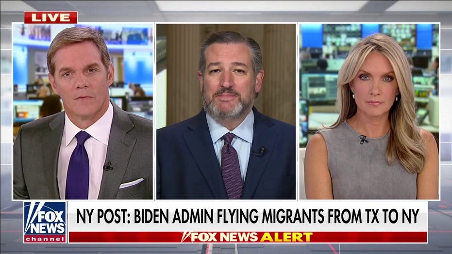 Ted Cruz On Border Crisis Bidens Cages ‘bigger ‘more Full Than