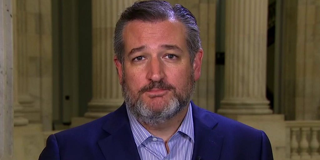 Ted Cruz rips the Democrats for being autocratic thugs | Fox News Video