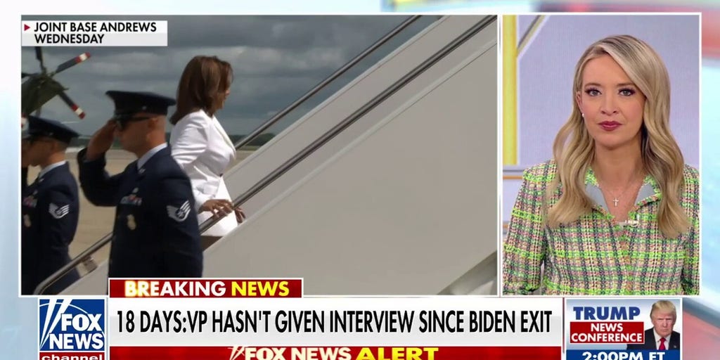 Kayleigh McEnany touts JD Vance tarmac move as Harris dodges media ...