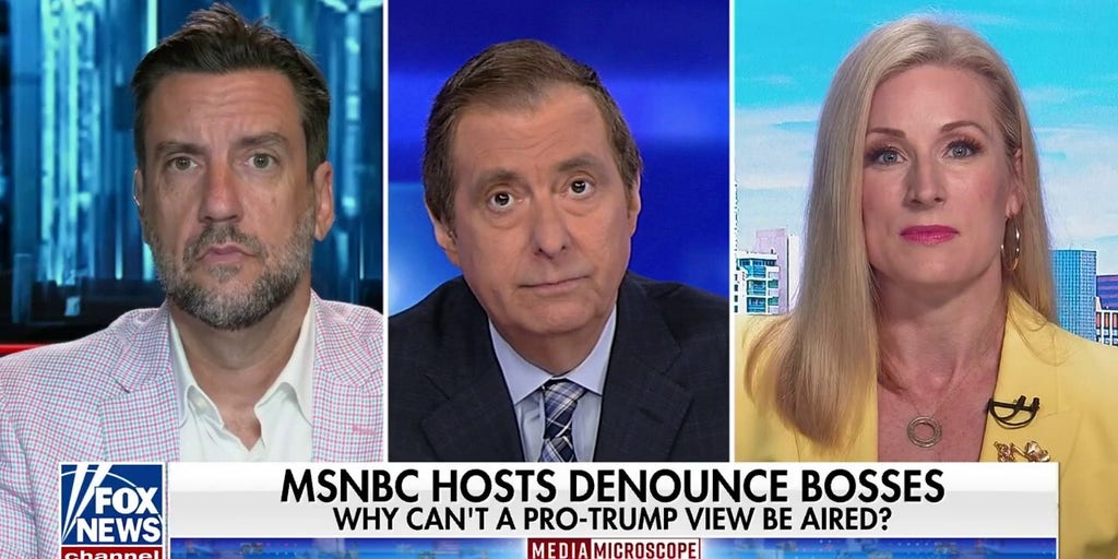 MSNBC is left-wing ‘fan’ media: Clay Travis | Fox News Video
