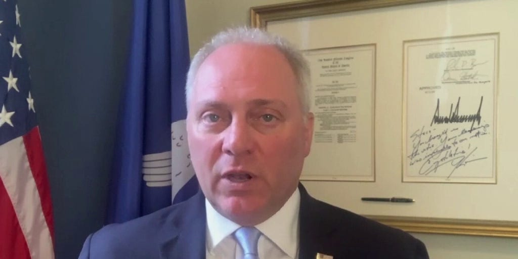 Scalise on Pelosi pulling FISA vote: Bill wasn't ready for 'prime time ...