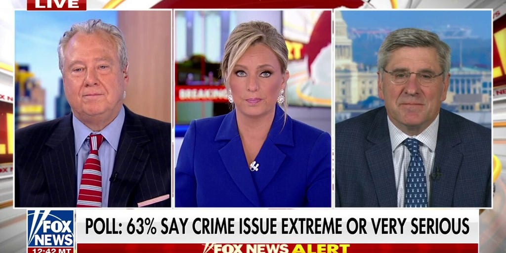 Steve Moore explains how crime is a ‘tax’: ‘It affects every one of us’ | Fox News Video
