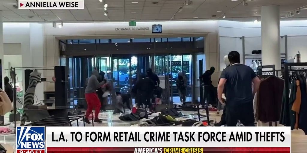 Los Angeles forming crime task force to address 'flash mob' robberies ...