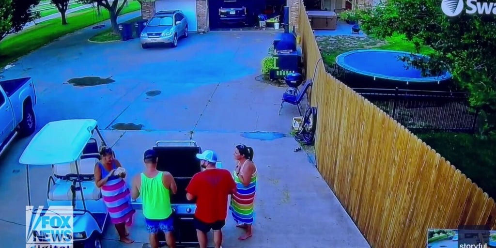 Texas woman rescues baby bird by keeping it warm in tortilla | Fox News ...