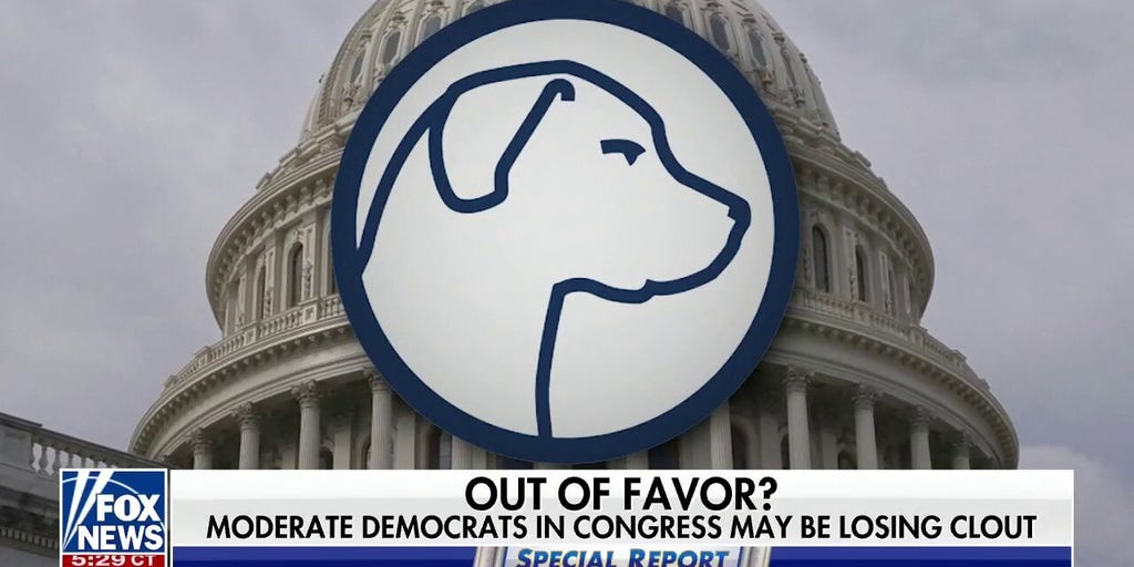 Do 'Blue Dogs' have a future in the Democratic Party? | Fox News Video