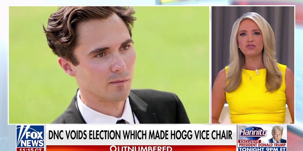 DNC votes to nullify election of vice chair over gender diversity rule ...