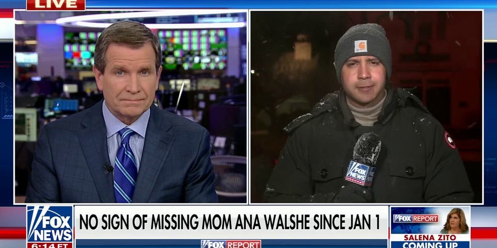 Ana Walshe missing person case is awaiting forensic lab results: Bryan ...