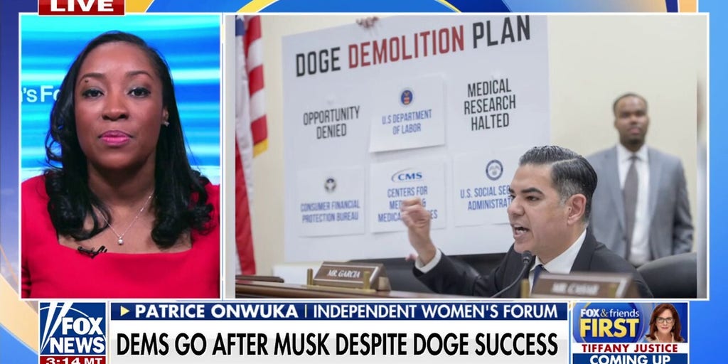 Democrats under fire for DOGE hearing 'antics' | Fox News Video