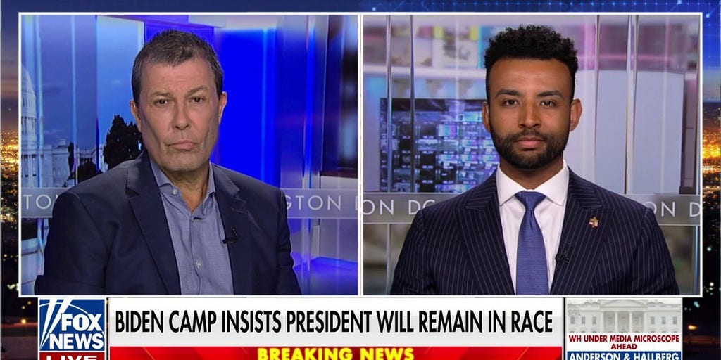 The Democratic Party needs a 'reckoning': Julian Epstein | Fox News Video