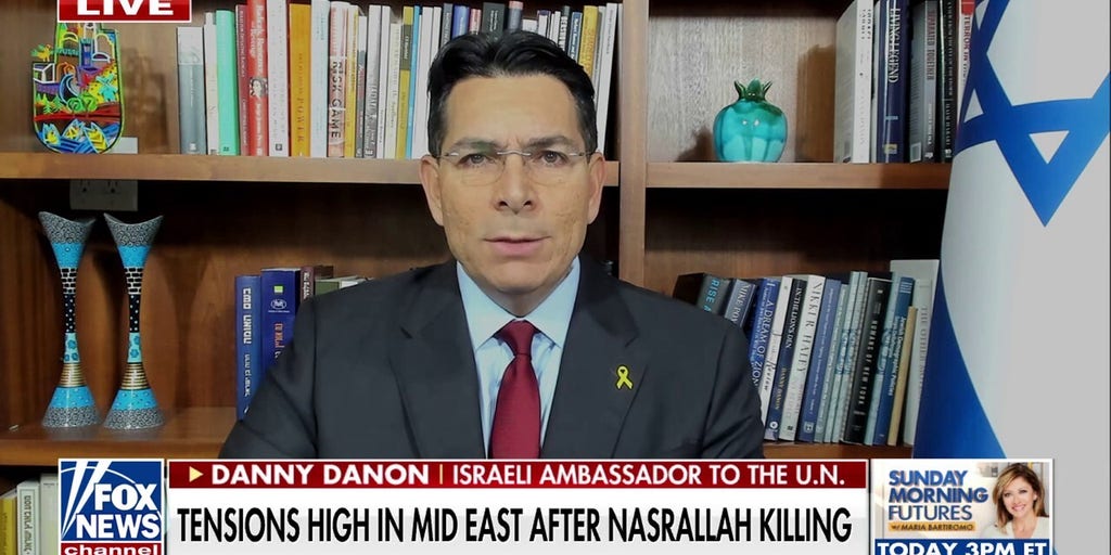 Whoever attacks Israel, we will retaliate: Danny Danon | Fox News Video
