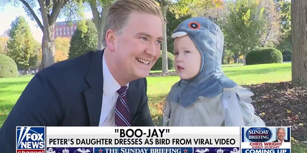 Peter Doocy's daughter dresses as bird from viral video, goes trick-or ...
