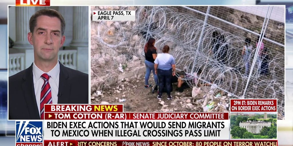 Tom Cotton on growing border crisis: 'Biden has stuck his head in the ...