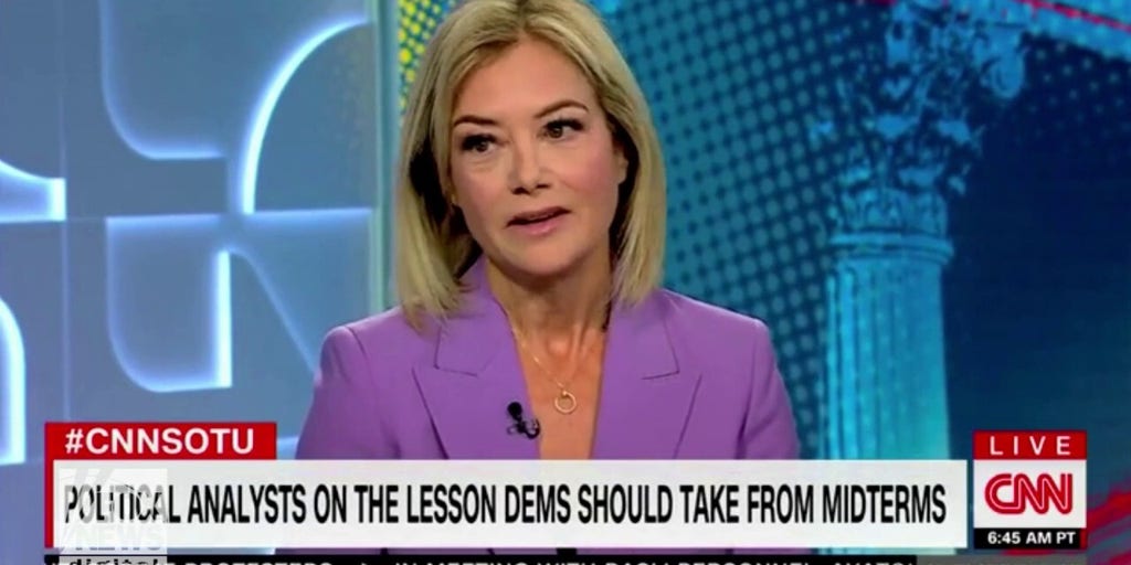 CNN political commentator says Democrats have 'nothing to celebrate ...