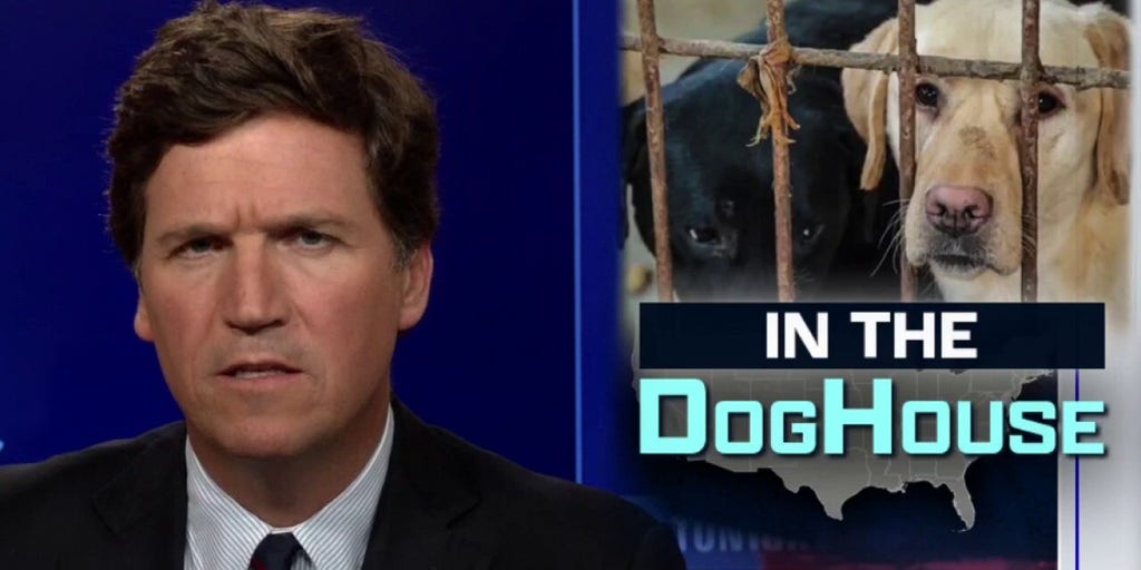 CDC banning importation of dogs could have 'catastrophic' results | Fox ...