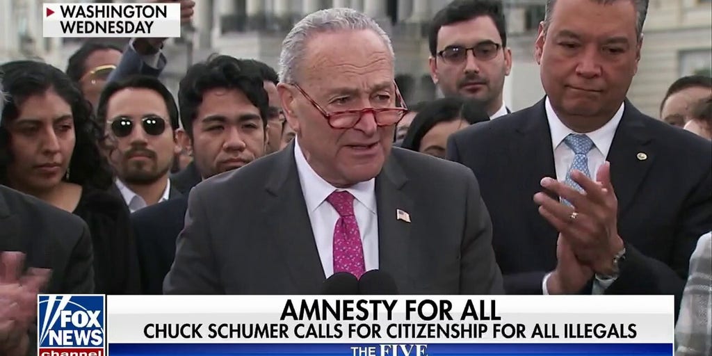 Schumer flip-flops on amnesty and illegal immigration | Fox News Video