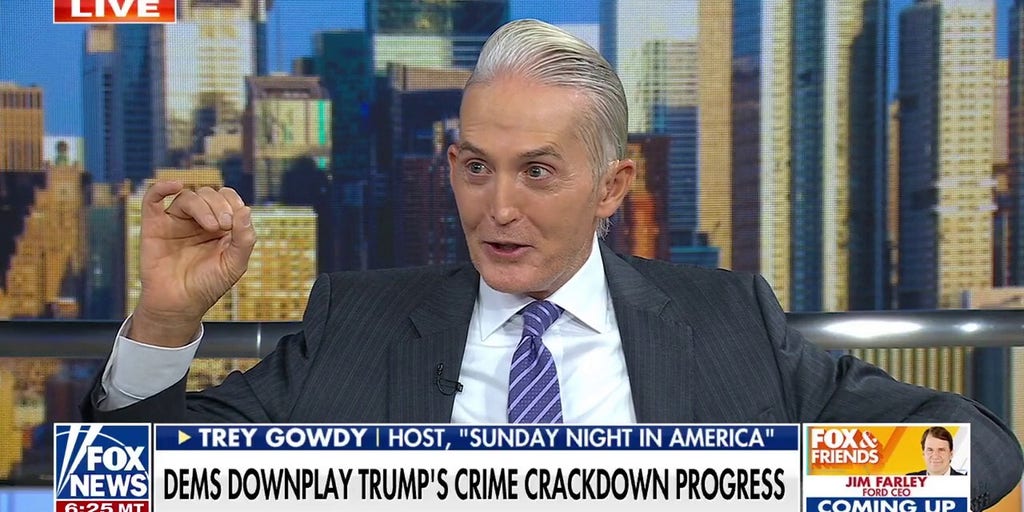 Trey Gowdy blasts Democrats on public safety, warns 'crime is a tax on ...