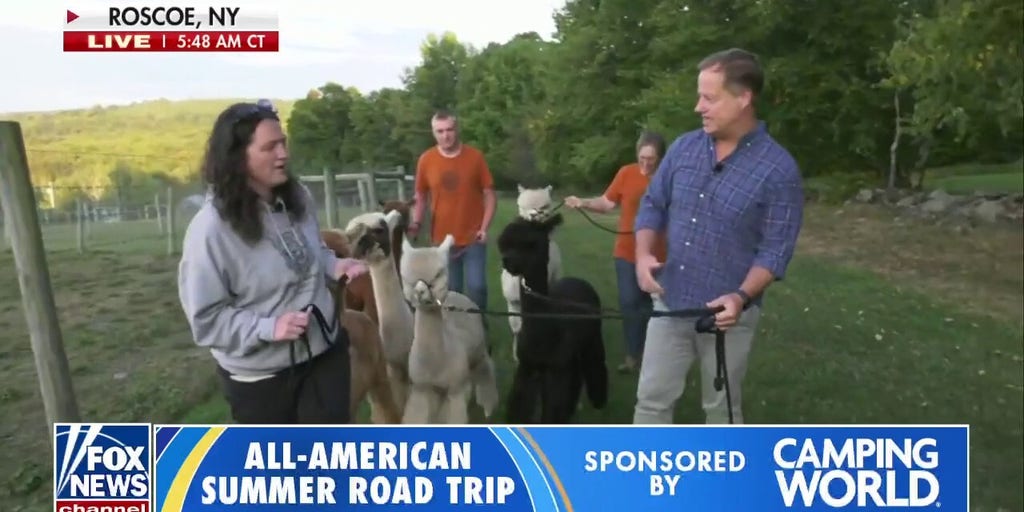 Rick Reichmuth visits an alpaca farm in the Catskill Mountains | Fox ...