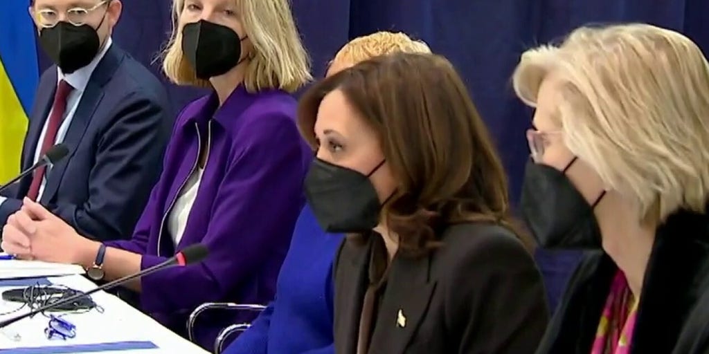 Kamala Harris Meets With Ukrainian President Reaffirms Us Commitment