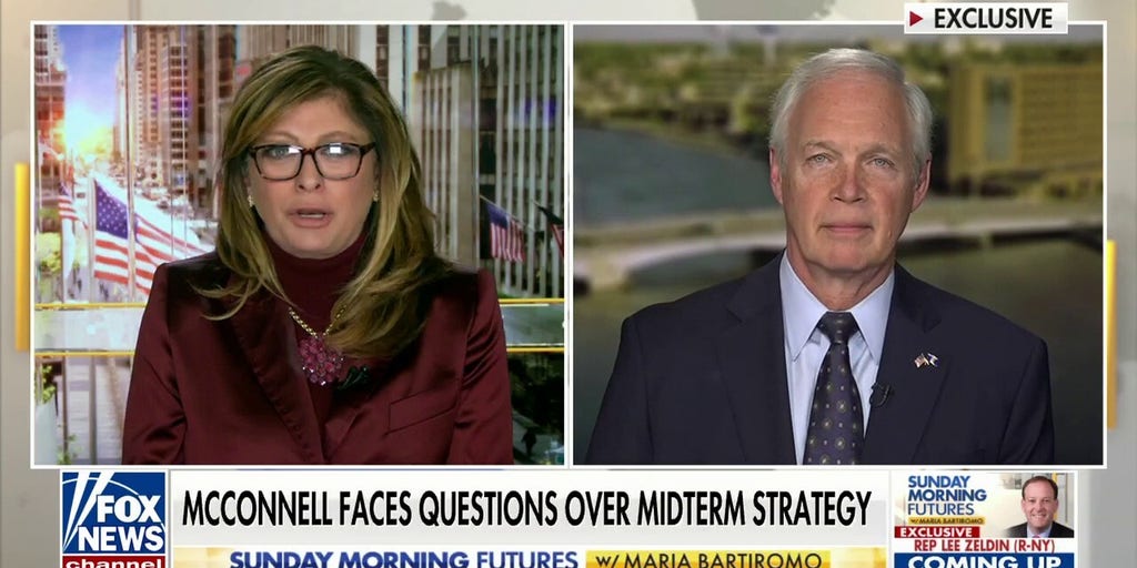 Ron Johnson slams push to hold leadership elections next week: 'Absurd ...
