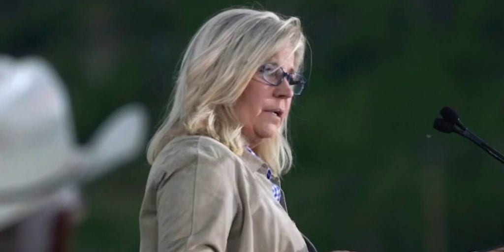 Democrats raise concerns as Liz Cheney hints at possible presidential ...