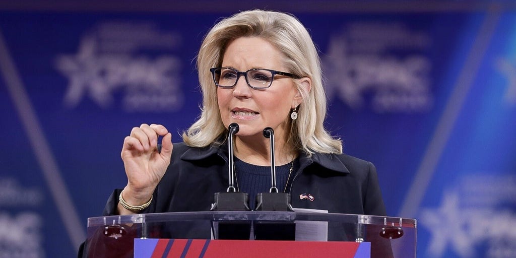 Press calls Liz Cheney a heroine | Fox News Video