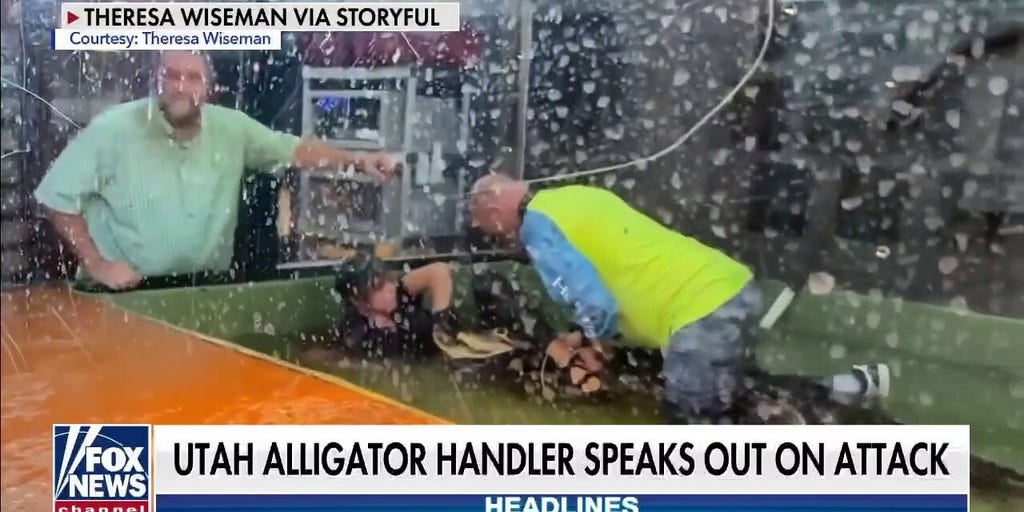 Utah alligator handler attacked by reptile on video | Fox News Video