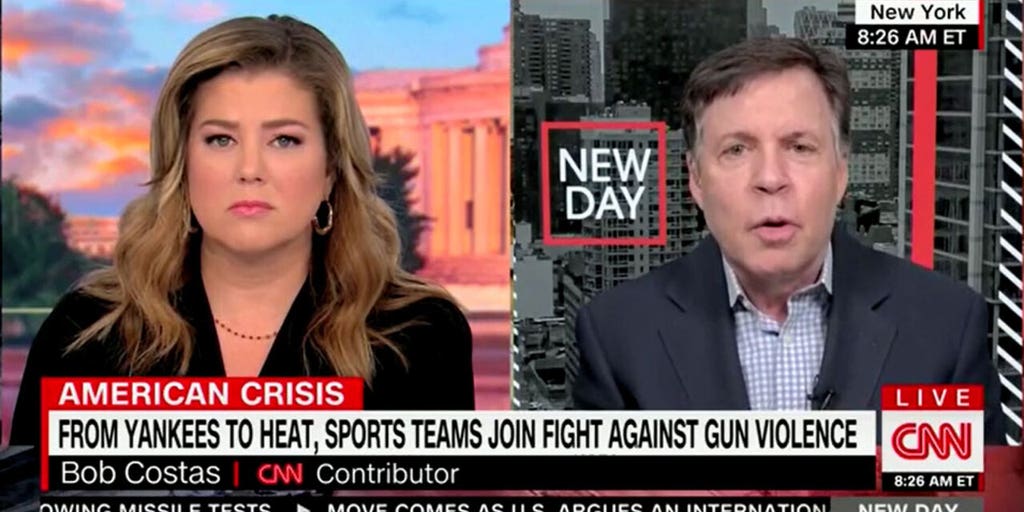 CNN contributor rails against ‘insane’ defense of Second Amendment ...