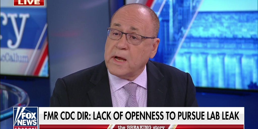 Questions over COVID origins continue | Fox News Video