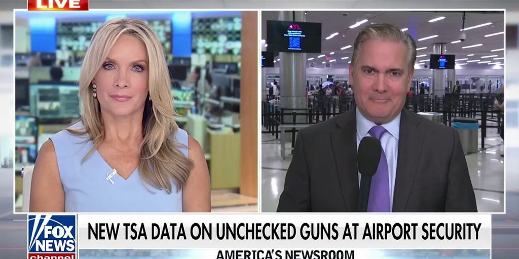 TSA finds more than 3,200 guns at airport security this year alone ...