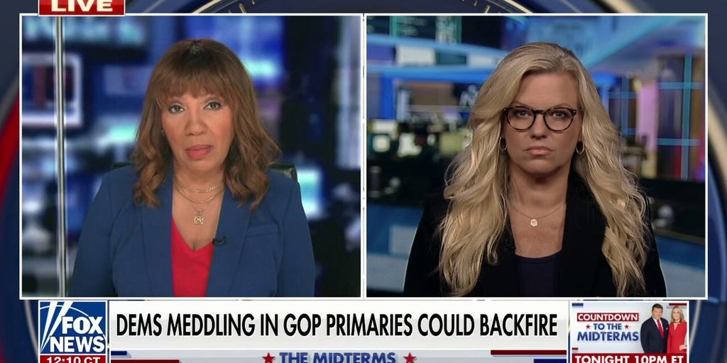 Democrats meddling in GOP primaries a 'misstep' as races tighten: Lee ...