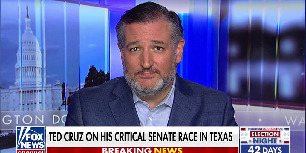 The Democratic Party has 'gone off the rails': Sen. Ted Cruz | Fox News ...