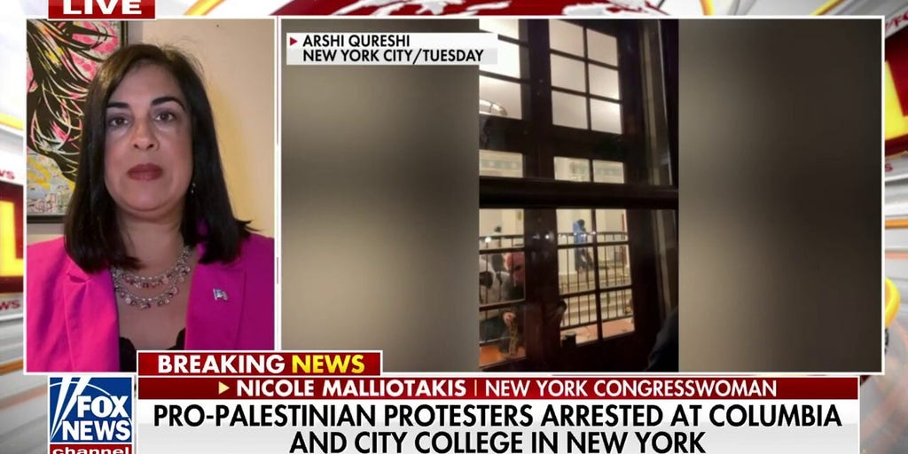 Rep. Malliotakis urges Congress to take action to 'crack down' on anti ...