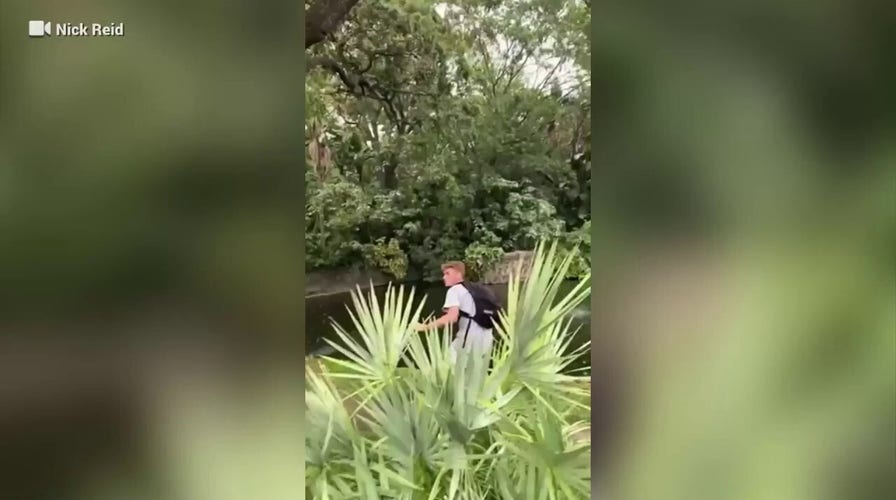 Man Jumps Into Busch Gardens Alligator Exhibit In Florida See The