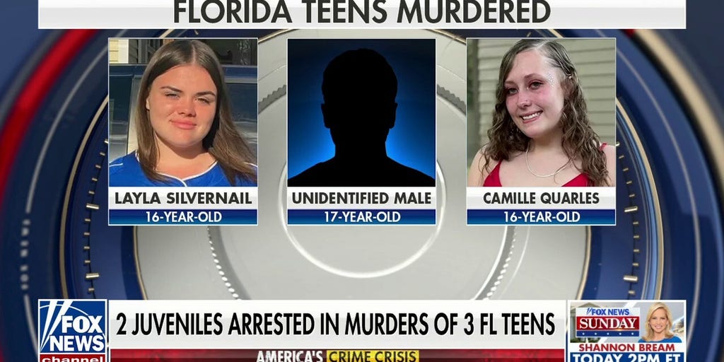 Two Florida juveniles arrested for 3 teen murders, ‘society failed ...
