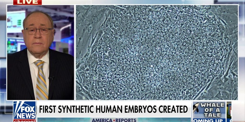 Creation of first synthetic human embryos could bring 'big advances ...
