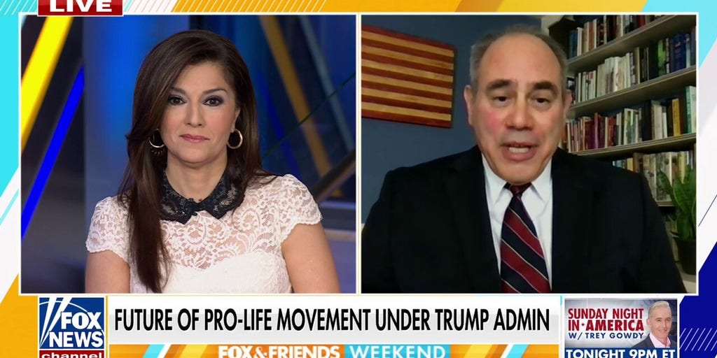 Real Alternatives is offering support amid rising abortion cases | Fox ...