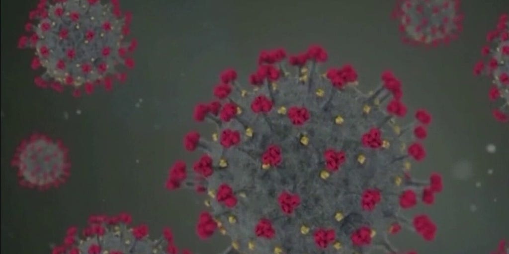 Multiple states hit record high COVID cases | Fox News Video