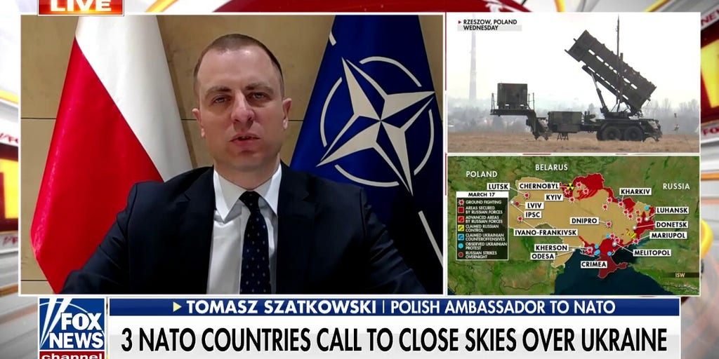 NATO allies should step up efforts to help protect Ukraine: Polish ...