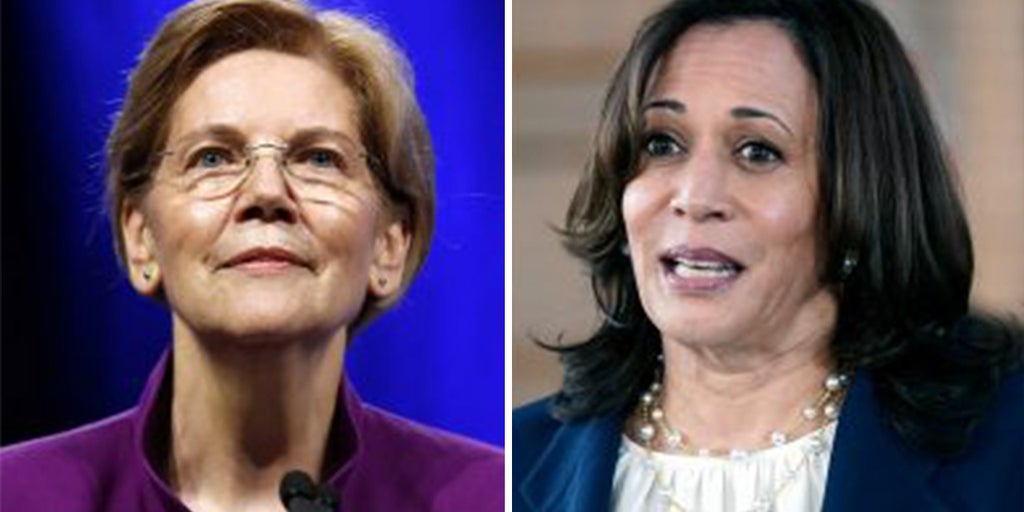 Elizabeth Warren raises eyebrows with hesitance to back Kamala Harris ...