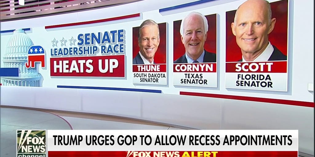 Race is on in GOP for Senate majority leader | Fox News Video