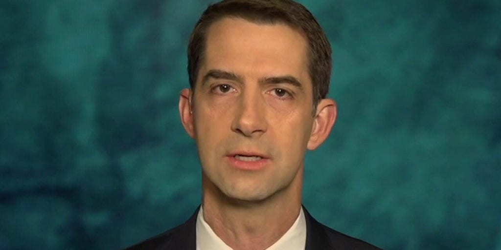 Republicans retaining Senate control would ‘put the brakes’ on radical ...