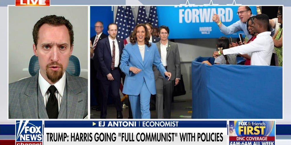 Economist sounds alarm on Harris' economic stance as she unveils $1.7 ...