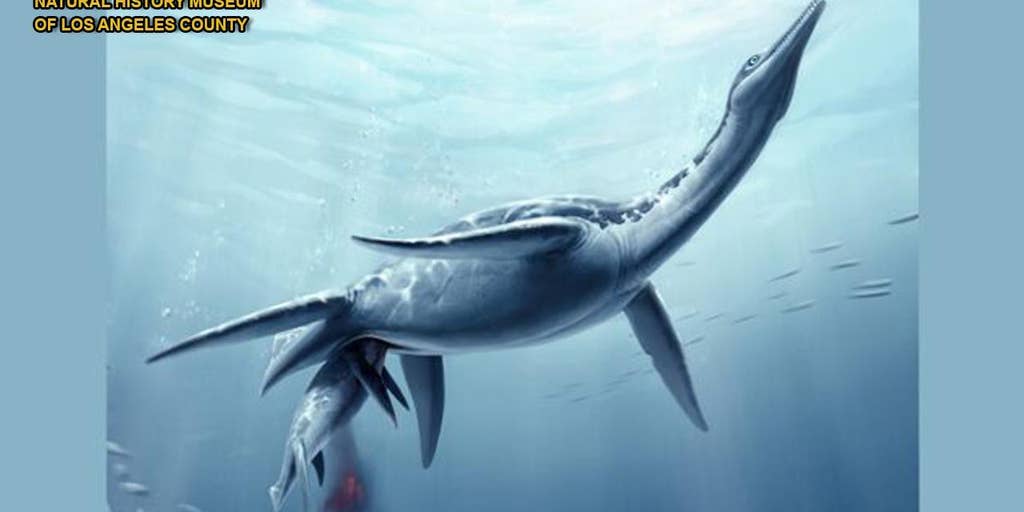 Fossil of 'real-life Loch Ness Monster' found in Antarctica | Fox News ...