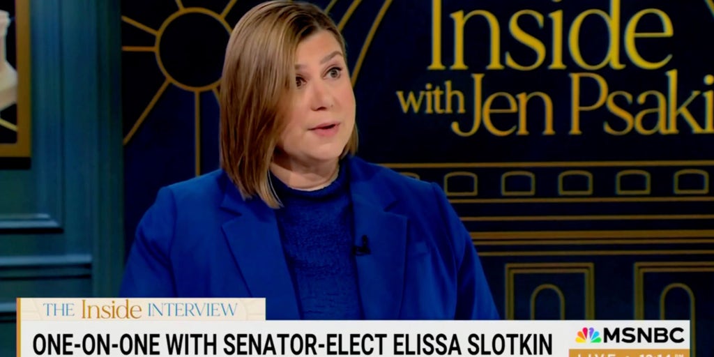 Elissa Slotkin scolds Democrats: 'We don't need to obsess about ...