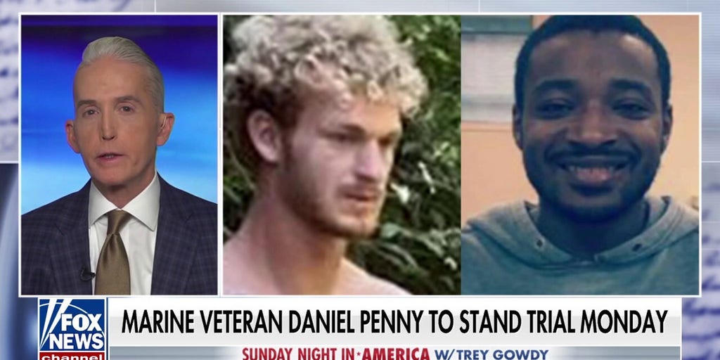 Trey Gowdy: Where's the line between self-defense and negligent ...