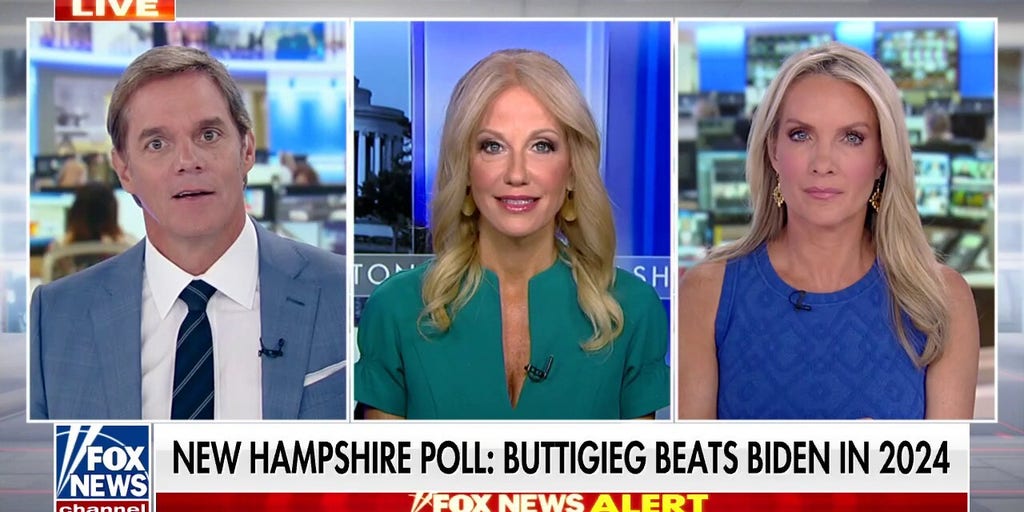 Kellyanne Conway Only Democrats In The White House Think Biden Is