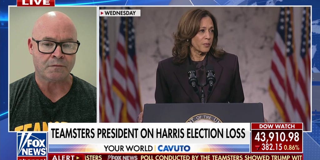 2024 was an 'economic election,' says Teamsters president | Fox News Video